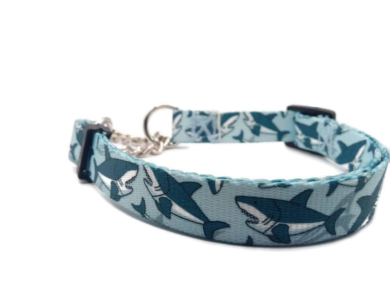 Summer Dog collars & leashes – CustomLovePets